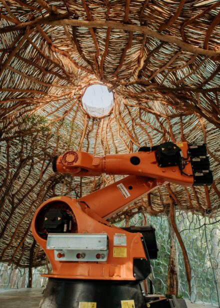 Roth Architecture creates office in Tulum with “insect wing” forms ...